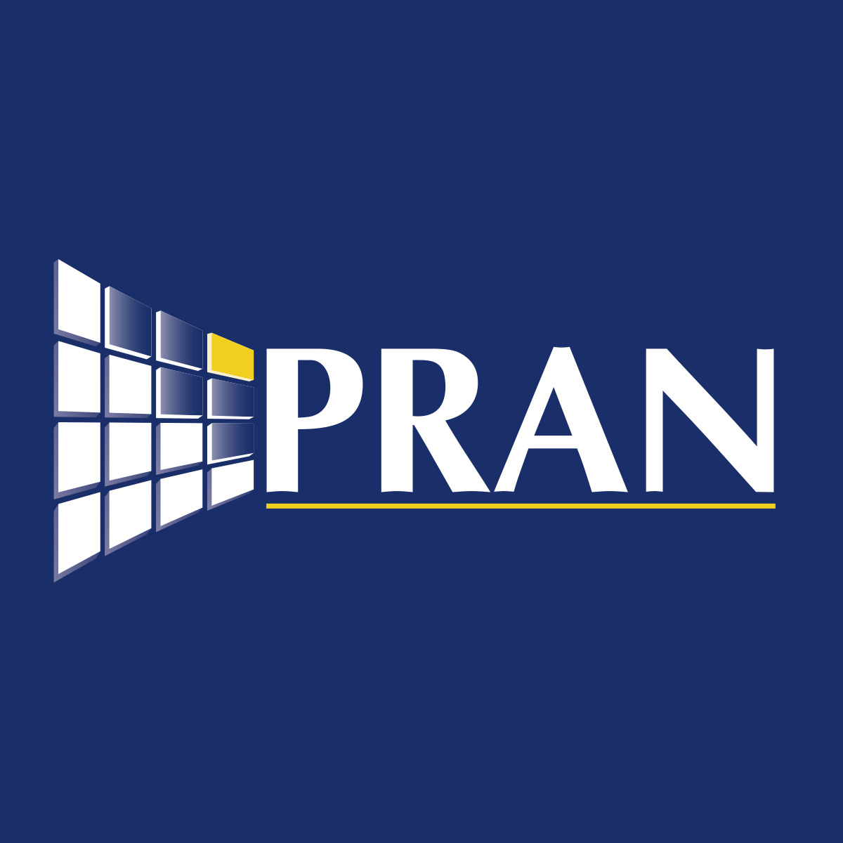 VISIONPLEX | PRAN Systems